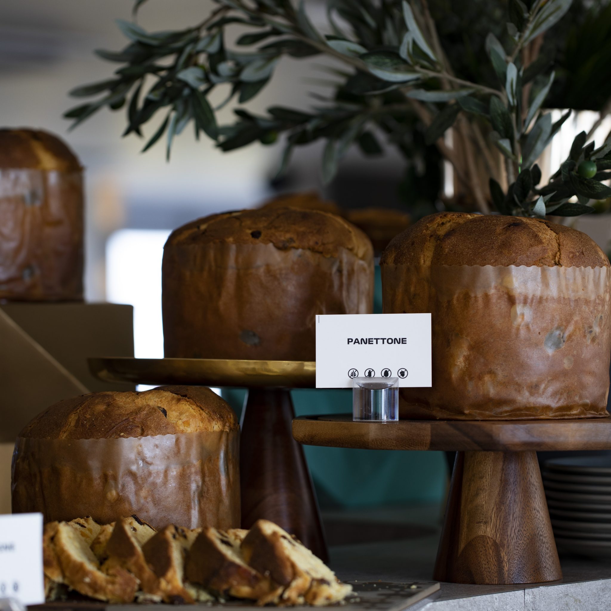 CATERING - LEYLATY GROUP